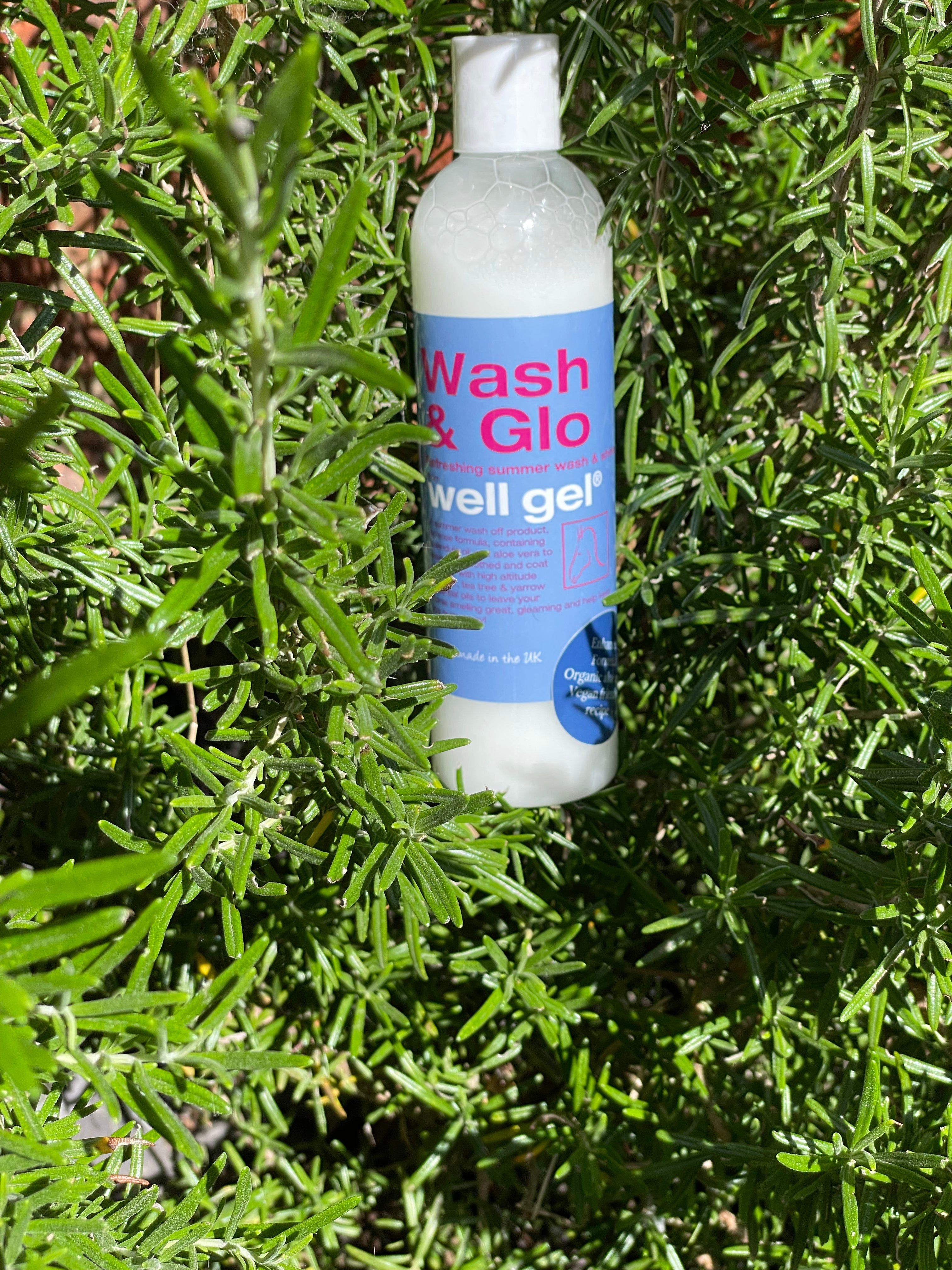 Wash & Glo 300g – Well Gel Shop