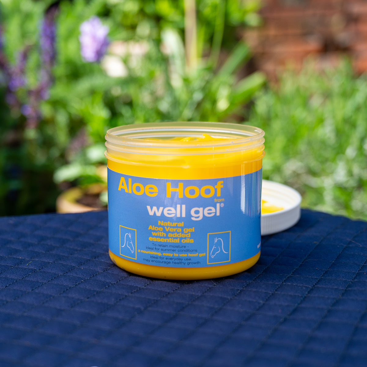 Well Gel Aloe Hoof Winter Edition Natural Hoof Dressing for Horses ...