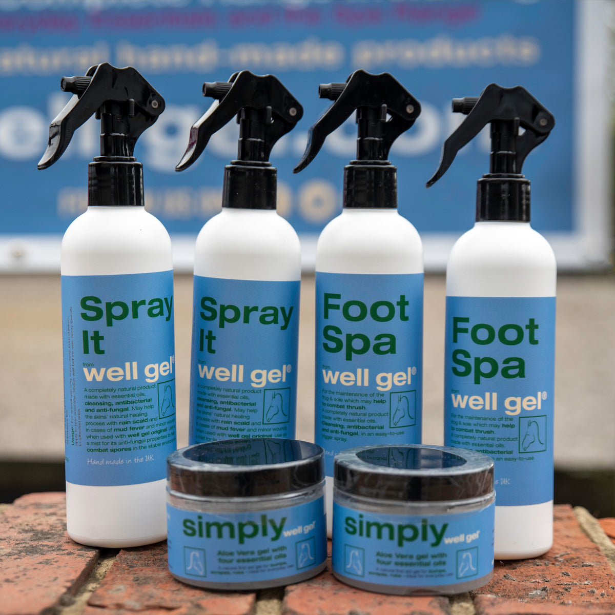 Gift Set - Everyday Essentials – Well Gel Shop