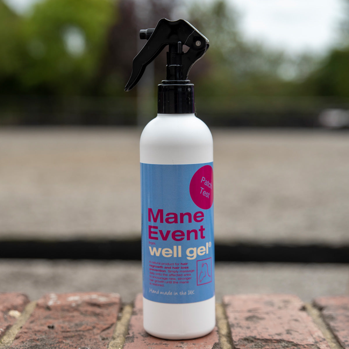 Well Gel Mane Event Hair Conditioner for Horses – Well Gel Shop